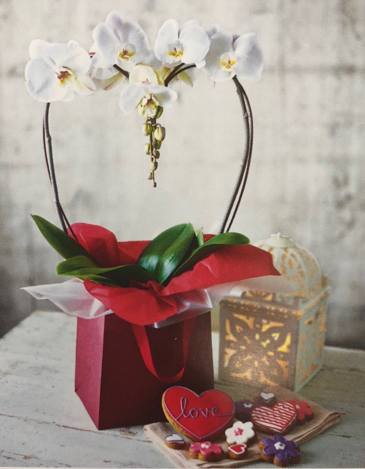 Waitrose Entertaining – Original Biscuit Bakers