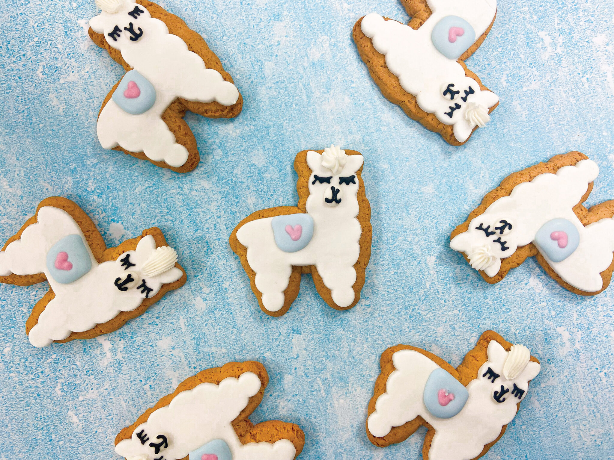 10 Pack – Llama Party – Original Biscuit Bakers