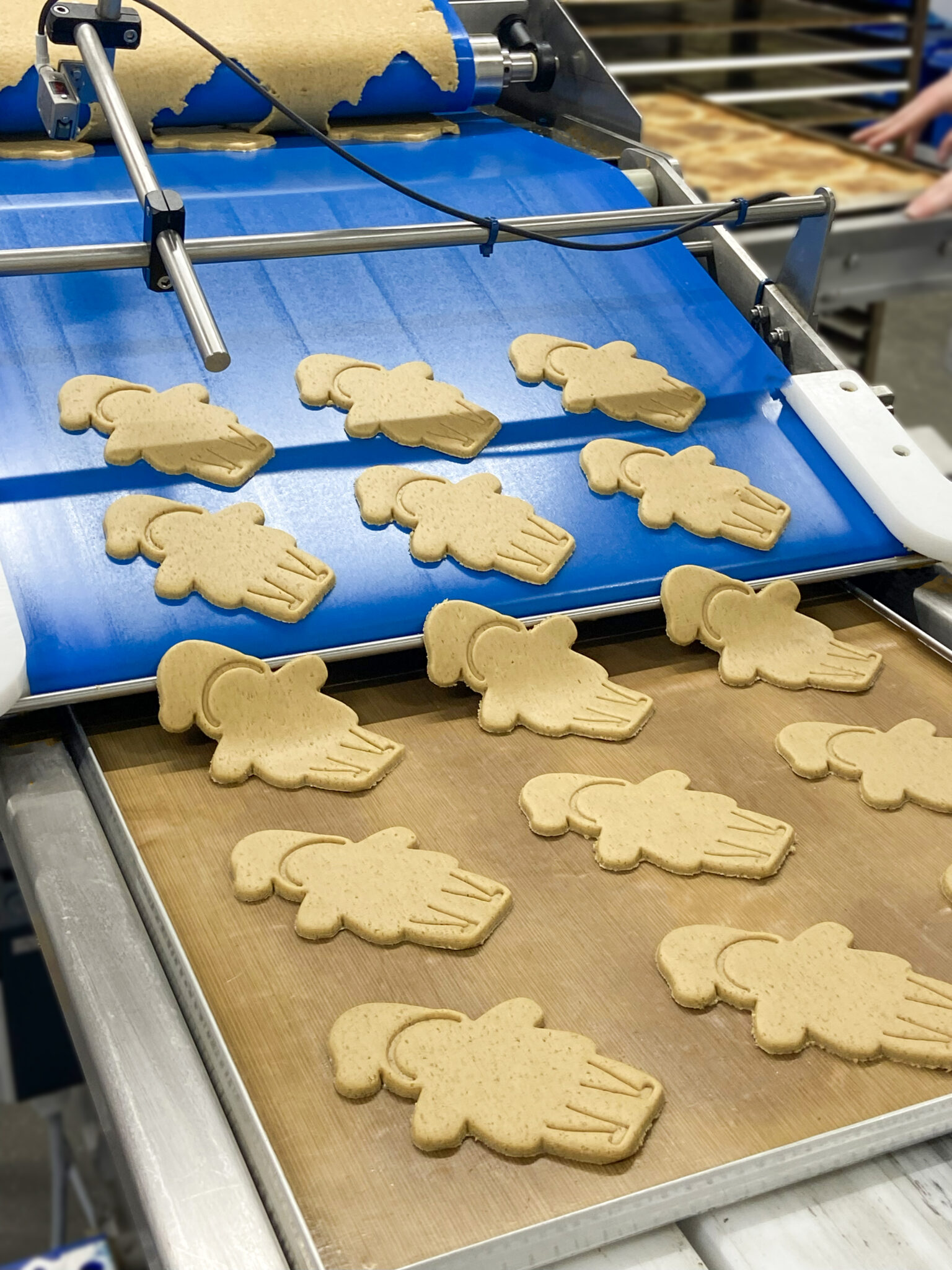 Shropshire’s Sweet Success: Gingerbread Factory Stars on BBC’s Inside ...